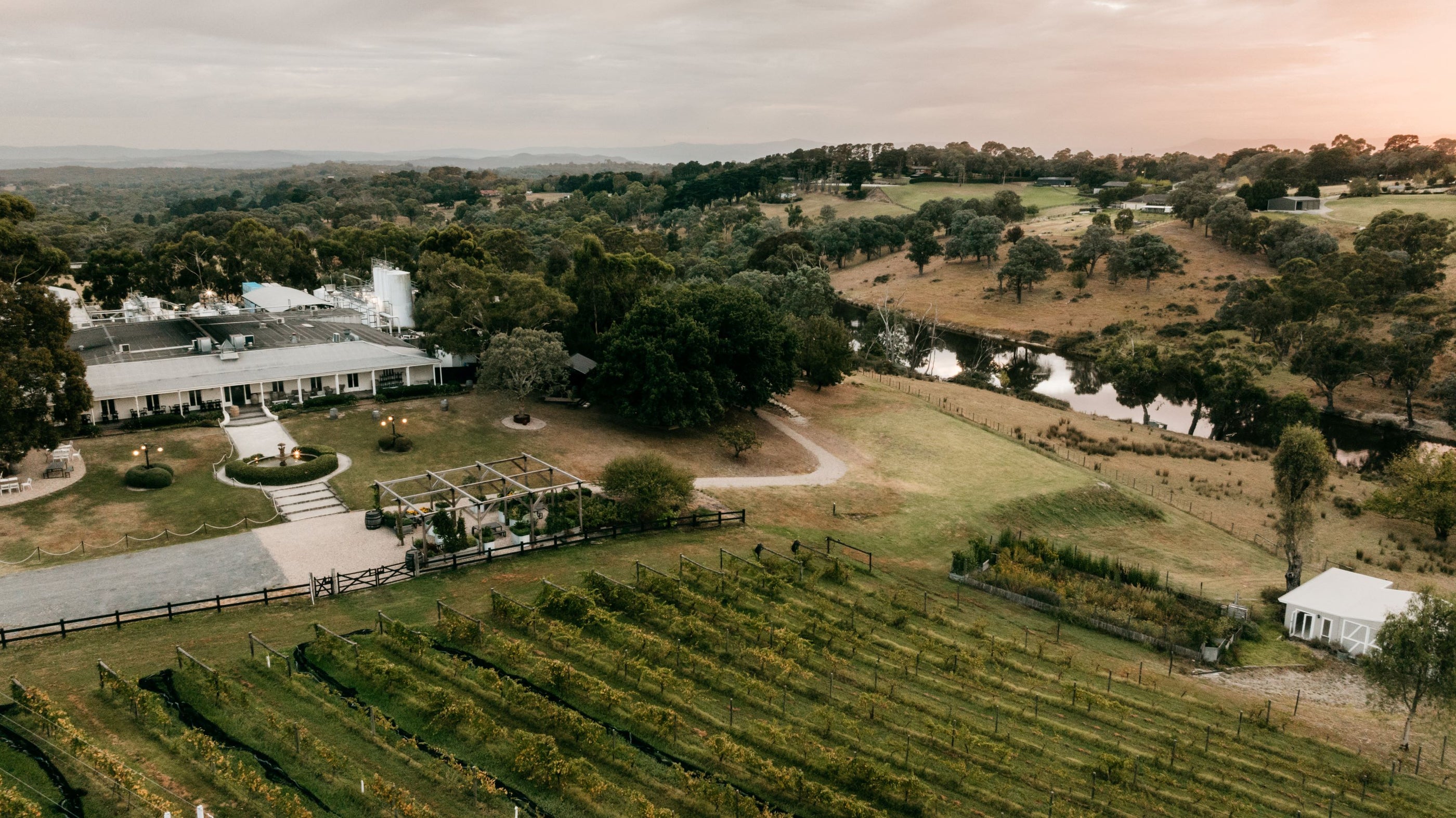 Rob Dolan Wines - real wine, real people, real character.